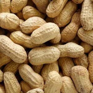 In Shell Peanuts (Salt) | Superior Nut Chicago